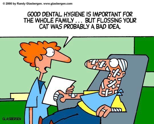 Funny Comics About Flossing Dentistry