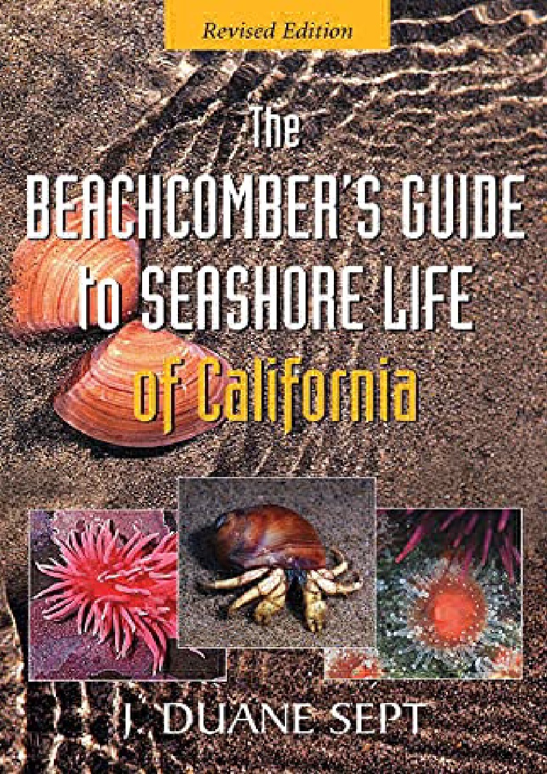 free read [pdf] The Beachcomber's Guide to Seashore Life of California / Twitter