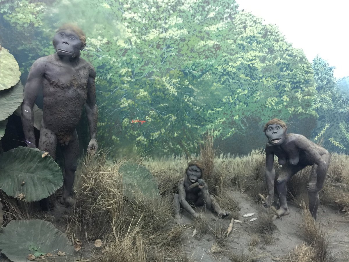 Markus Fix's Threads – Thread Reader App