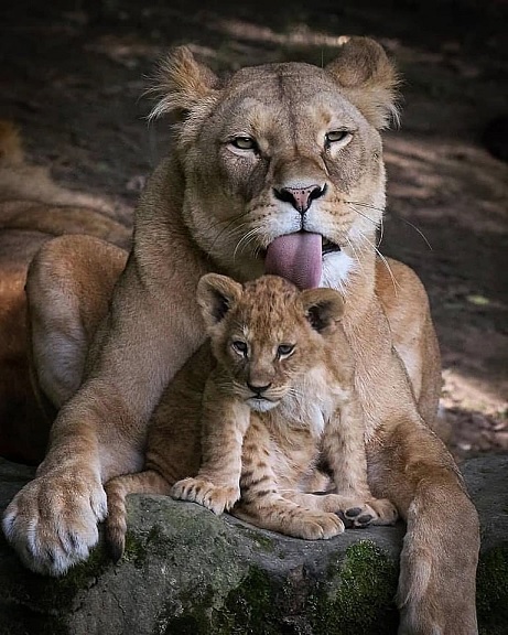 Joyce Dellinger (@JoyceDellinge20) | Twitter