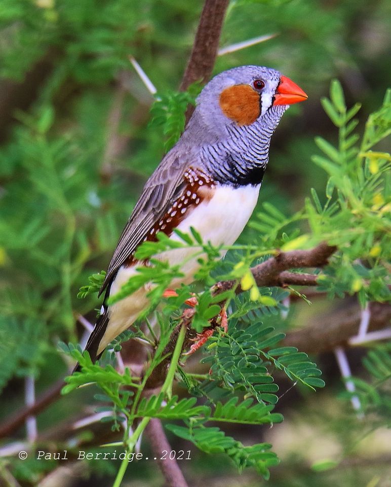 Joyce Dellinger (@JoyceDellinge20) | Twitter