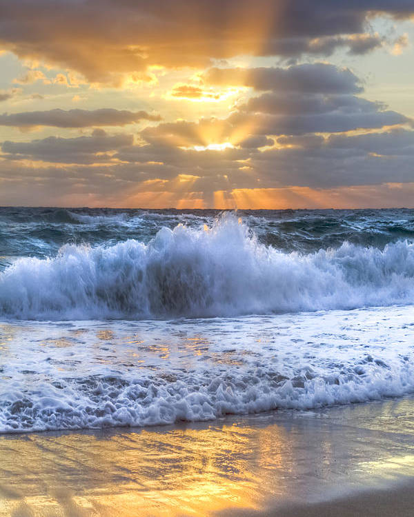 Joyce Dellinger (@JoyceDellinge20) | Twitter