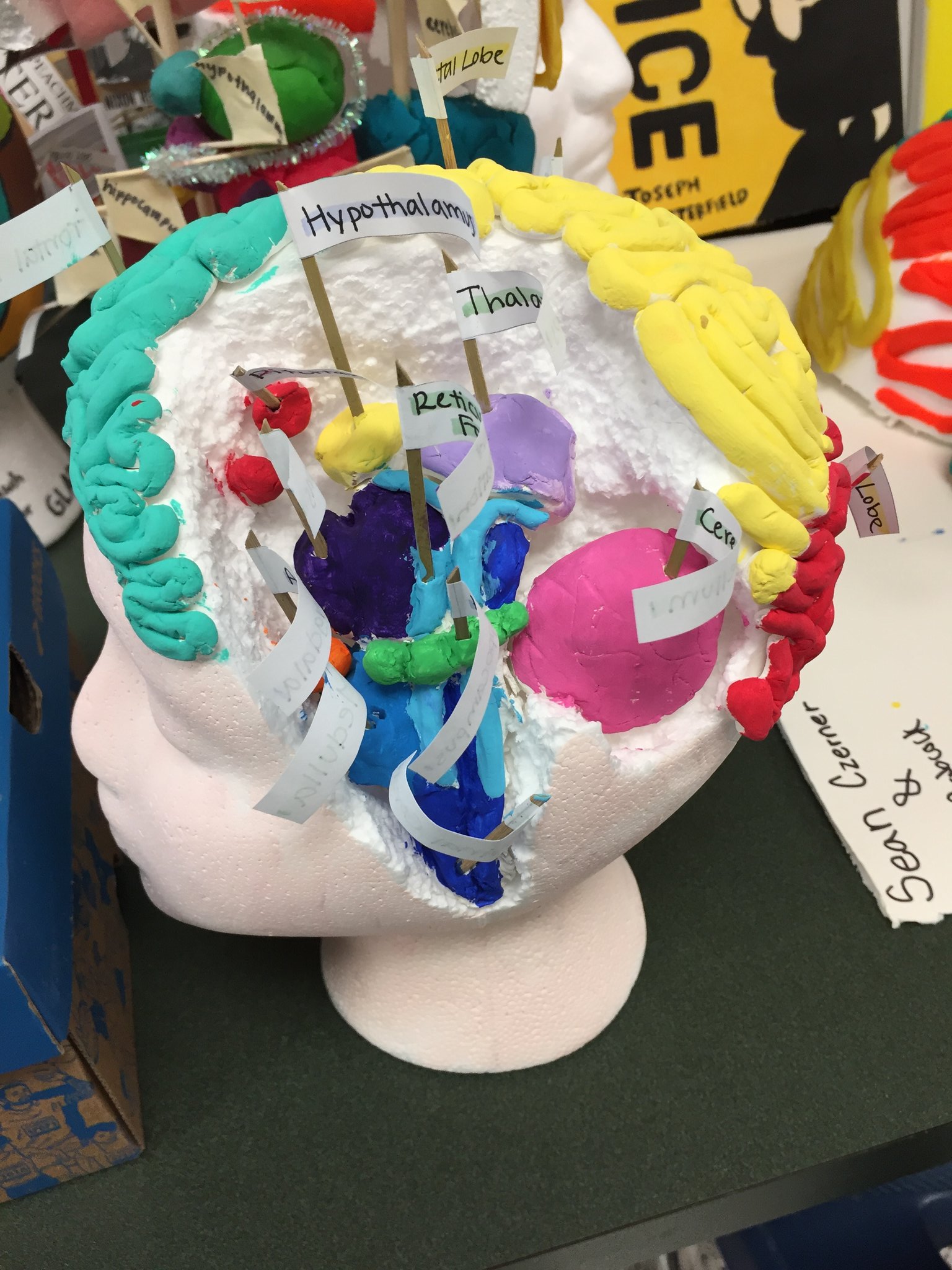 Psychology Brain Model Project