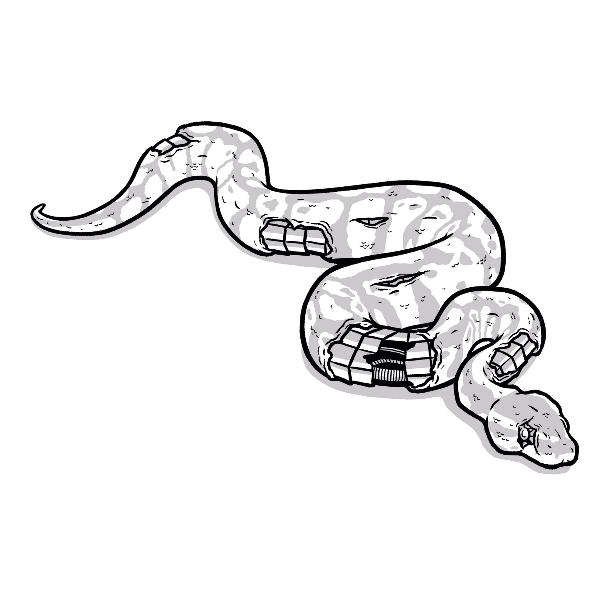 Burmese Python Coloring Pages