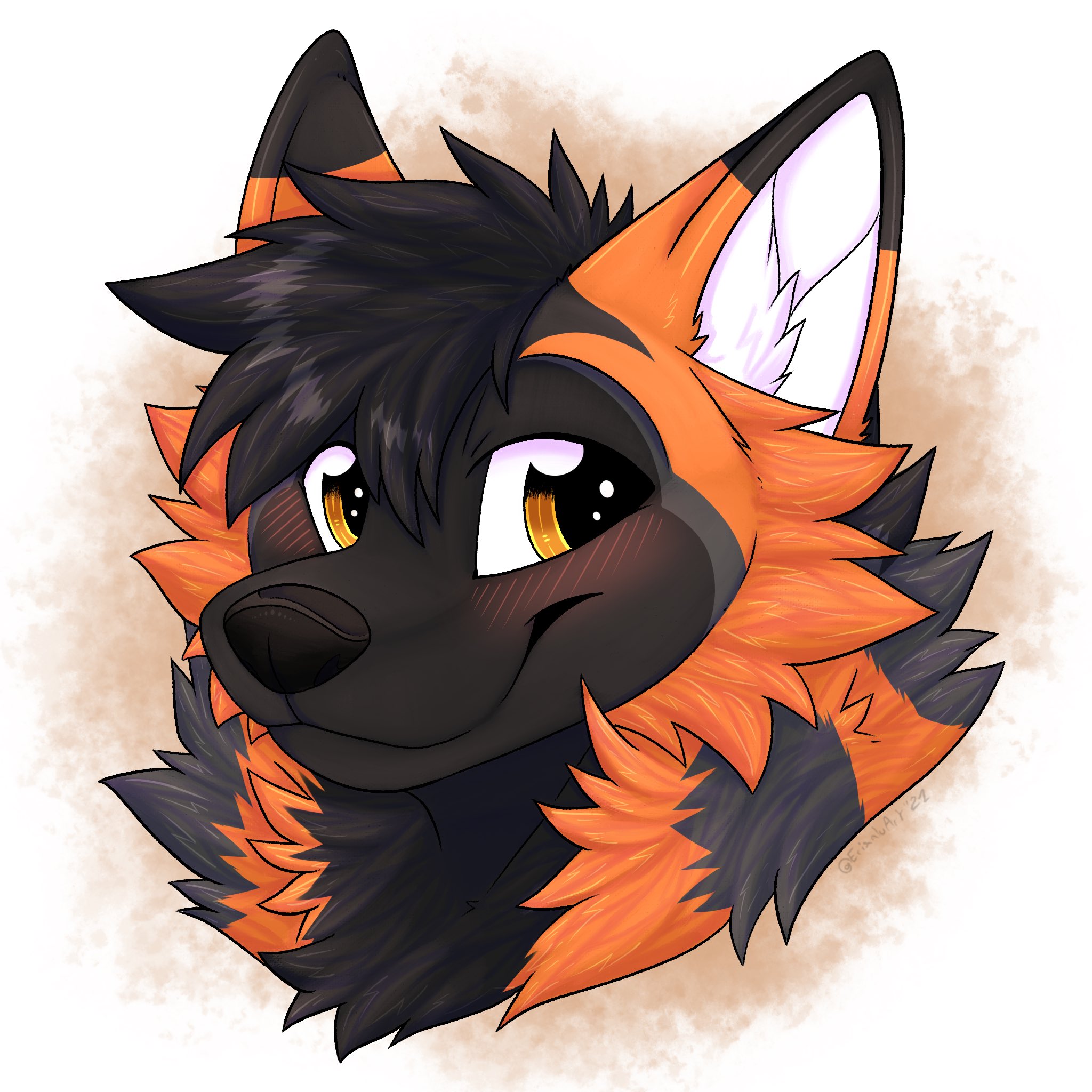 Orange Wolf Drawing