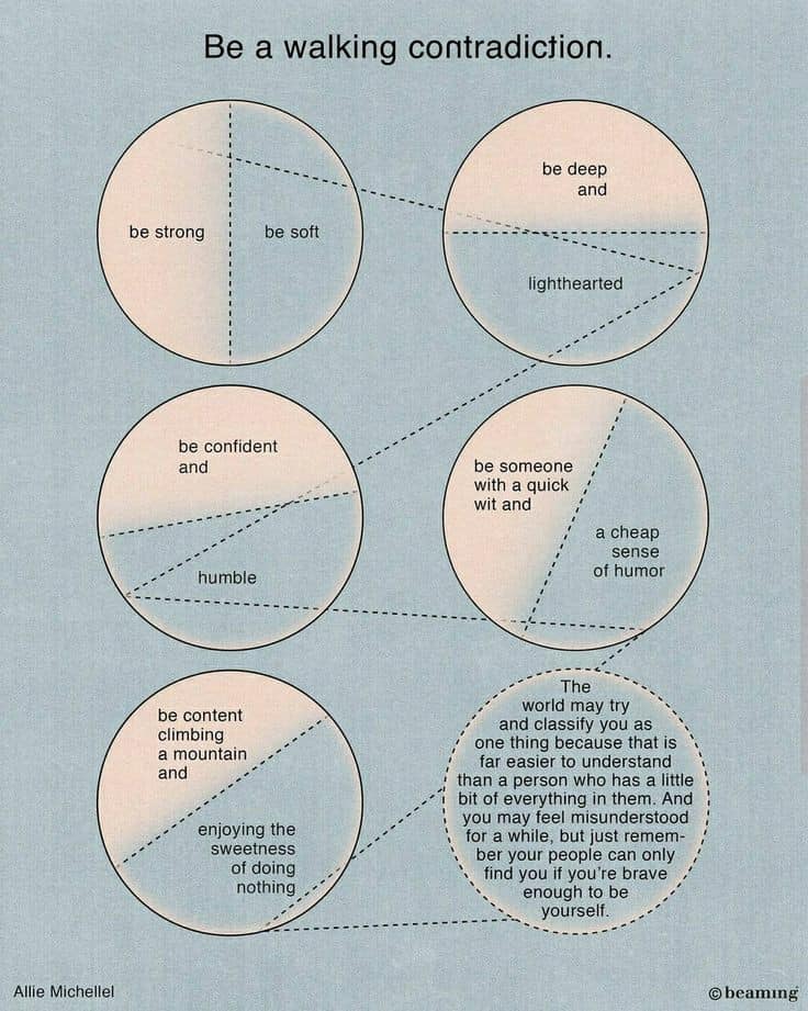 Walking Contradiction Meme