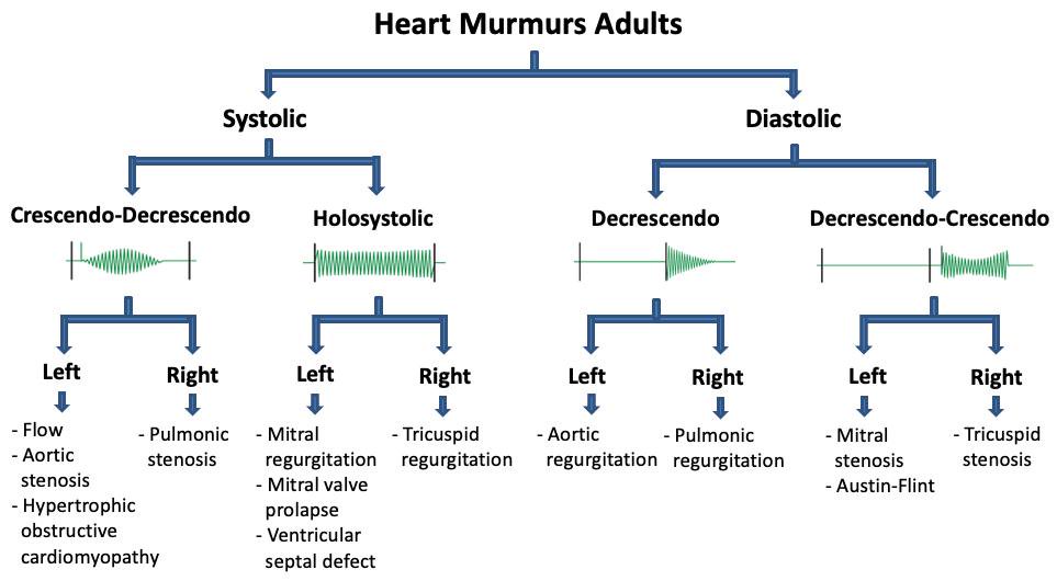 70M presents with SOB. You're asked examine the cardiovascular system ...