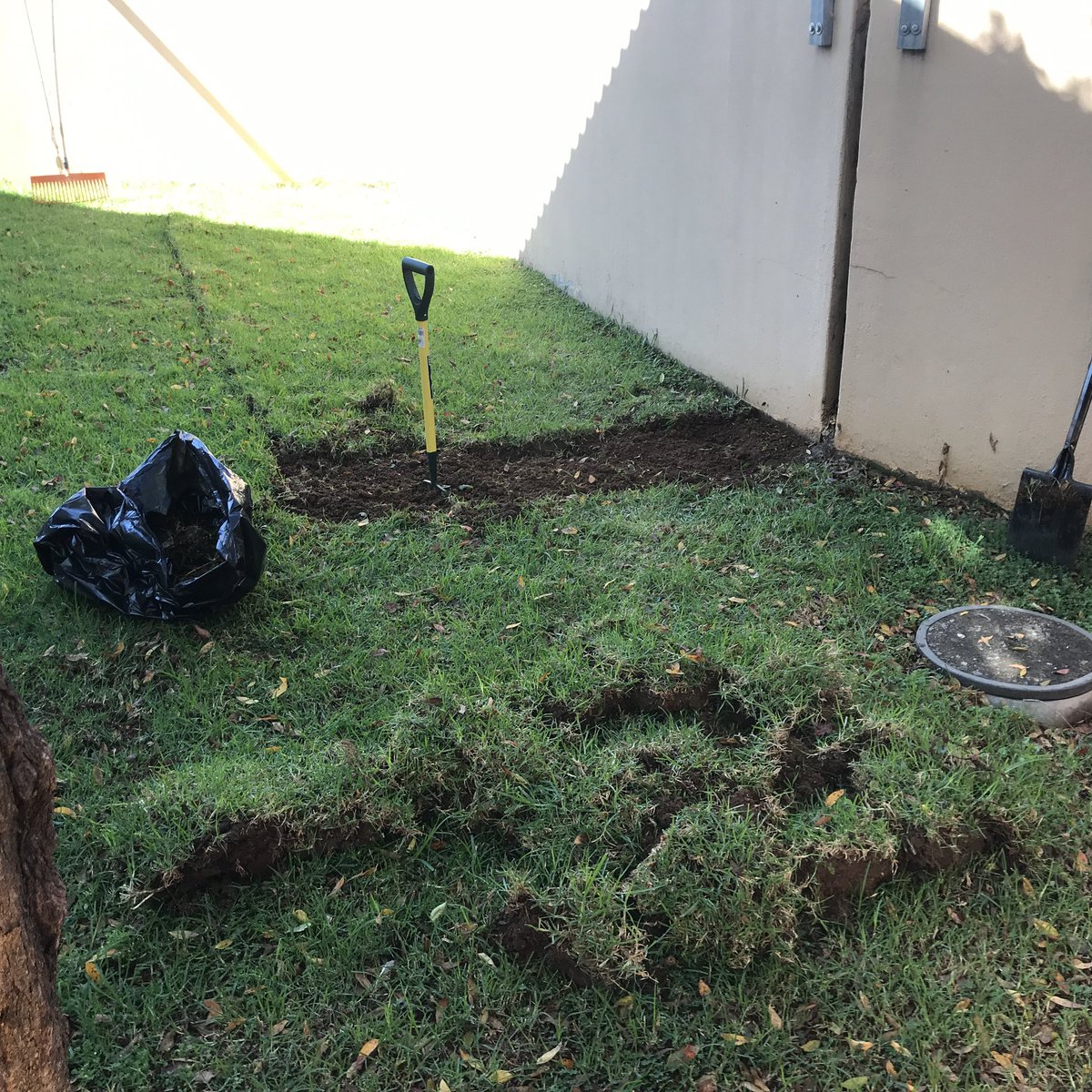 BATLOKOA Foundation (@InfoBatlokoa) | Twitter