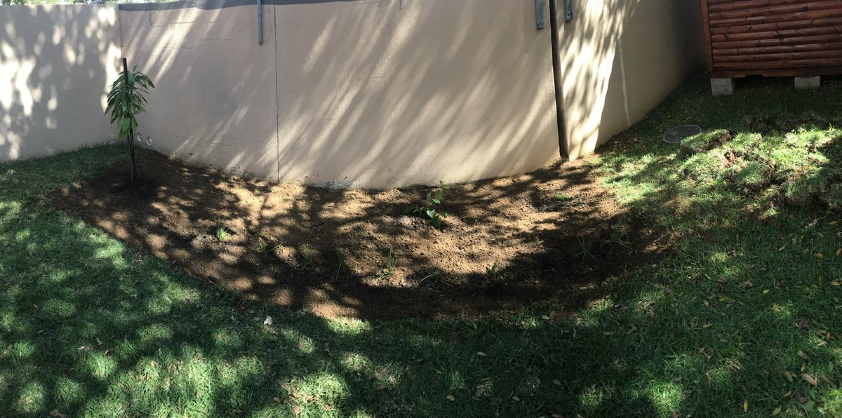 BATLOKOA Foundation (@InfoBatlokoa) | Twitter