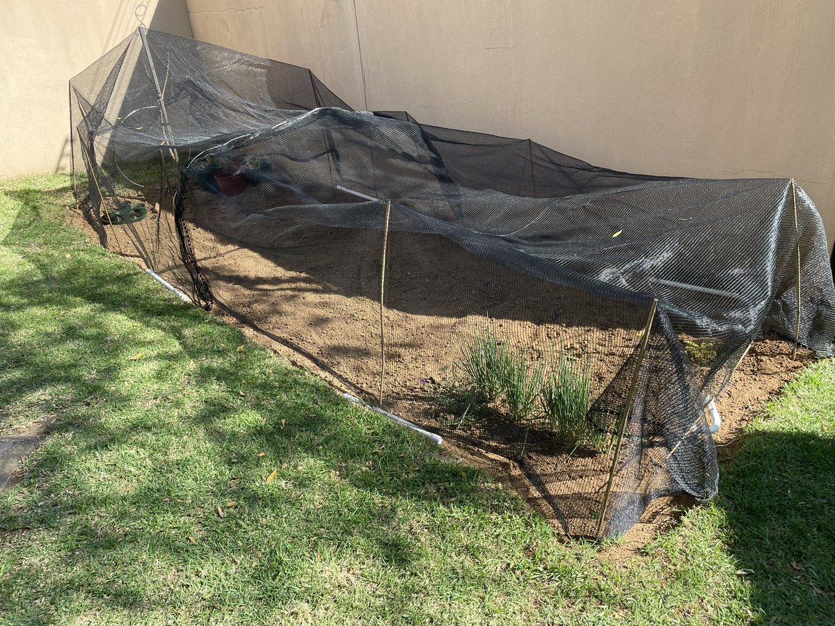 BATLOKOA Foundation (@InfoBatlokoa) | Twitter