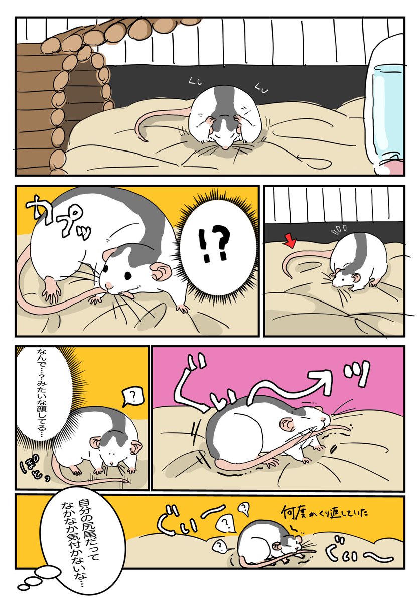 「ねずみ関係ないんですけど、友人が推しキャラの付けてるピアスを作ってくれて嬉しいので自慢させて下さい! 漫画は原神おスス」あけびの漫画