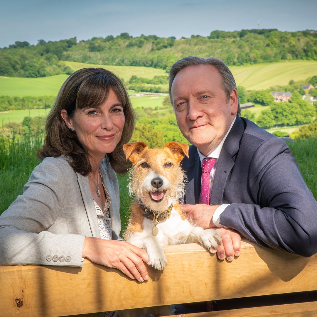 What Breed Of Dog Is Sykes In Midsomer Murders