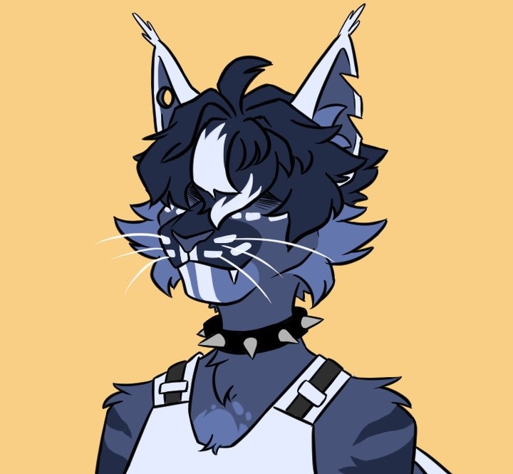 JackCryptid (@jack_cryptid) | Twitter