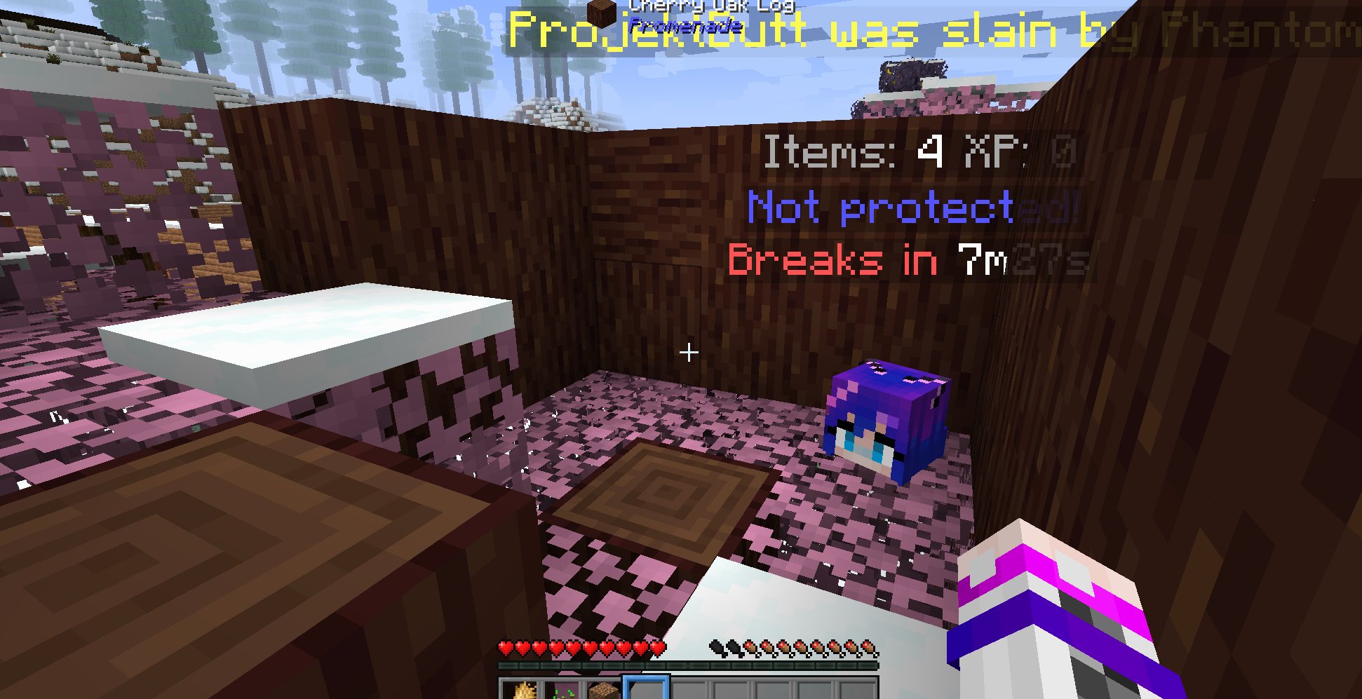 Weird Minecraft Mods