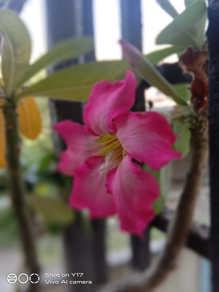 Jaipal Shelavale (@jaipal79) | Twitter Jaipal Shelavale (@jaipal79) | Twitter