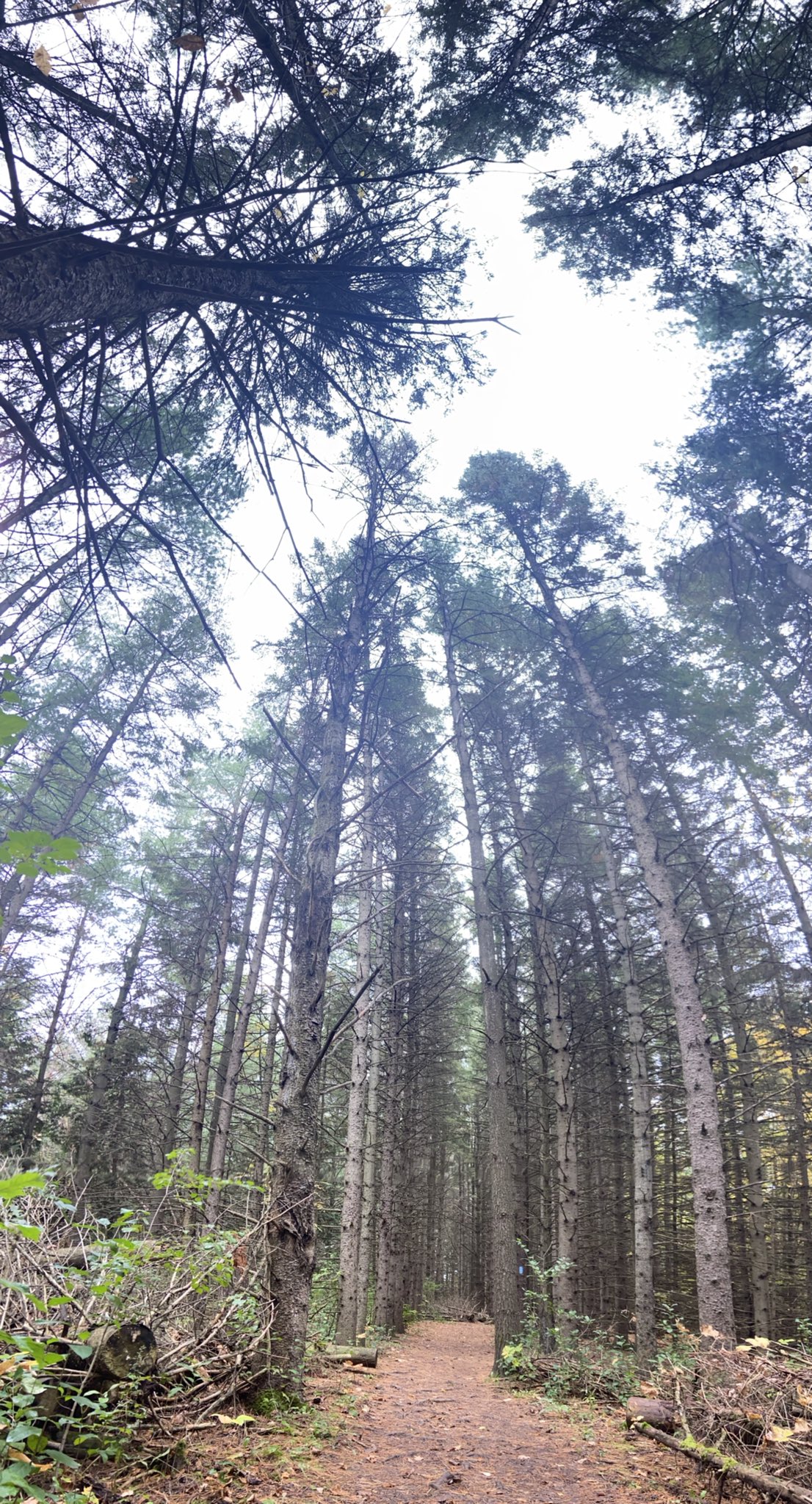 TW Pornstars - Thickest Pumpkin In The Patch 🧡. Twitter. Hike day 💕. 8: ...