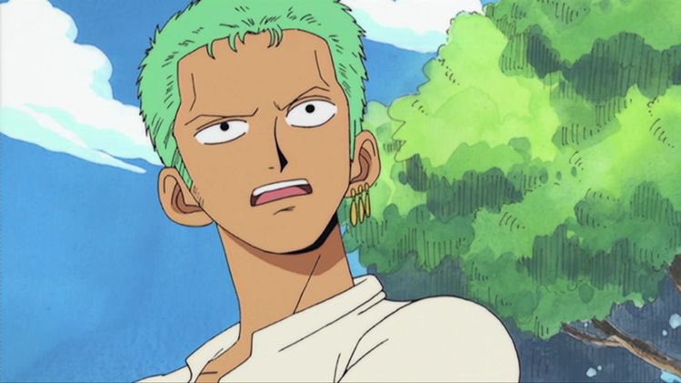 One Piece Time Skip Zoro
