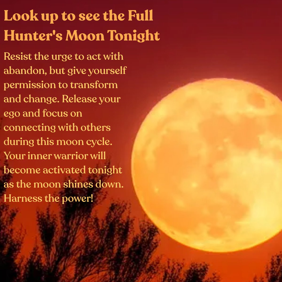 Full Moon Quotes