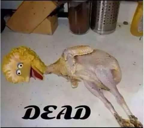 Dead Chicken Memes Bitchin' Chickens Memes: 42 Grief & Loss