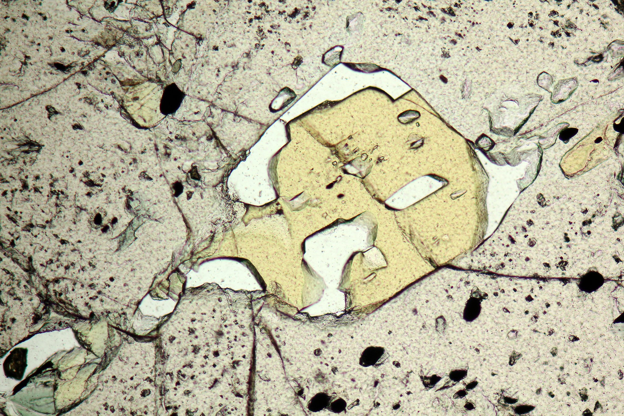 Staurolite Thin Section