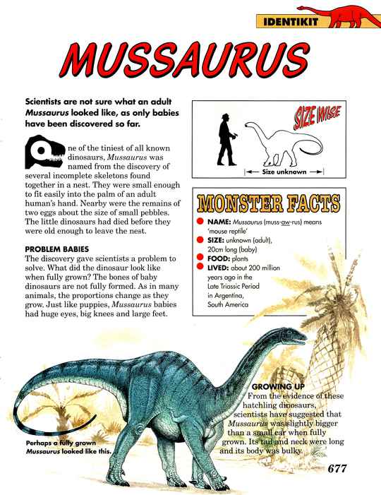 Mussaurus