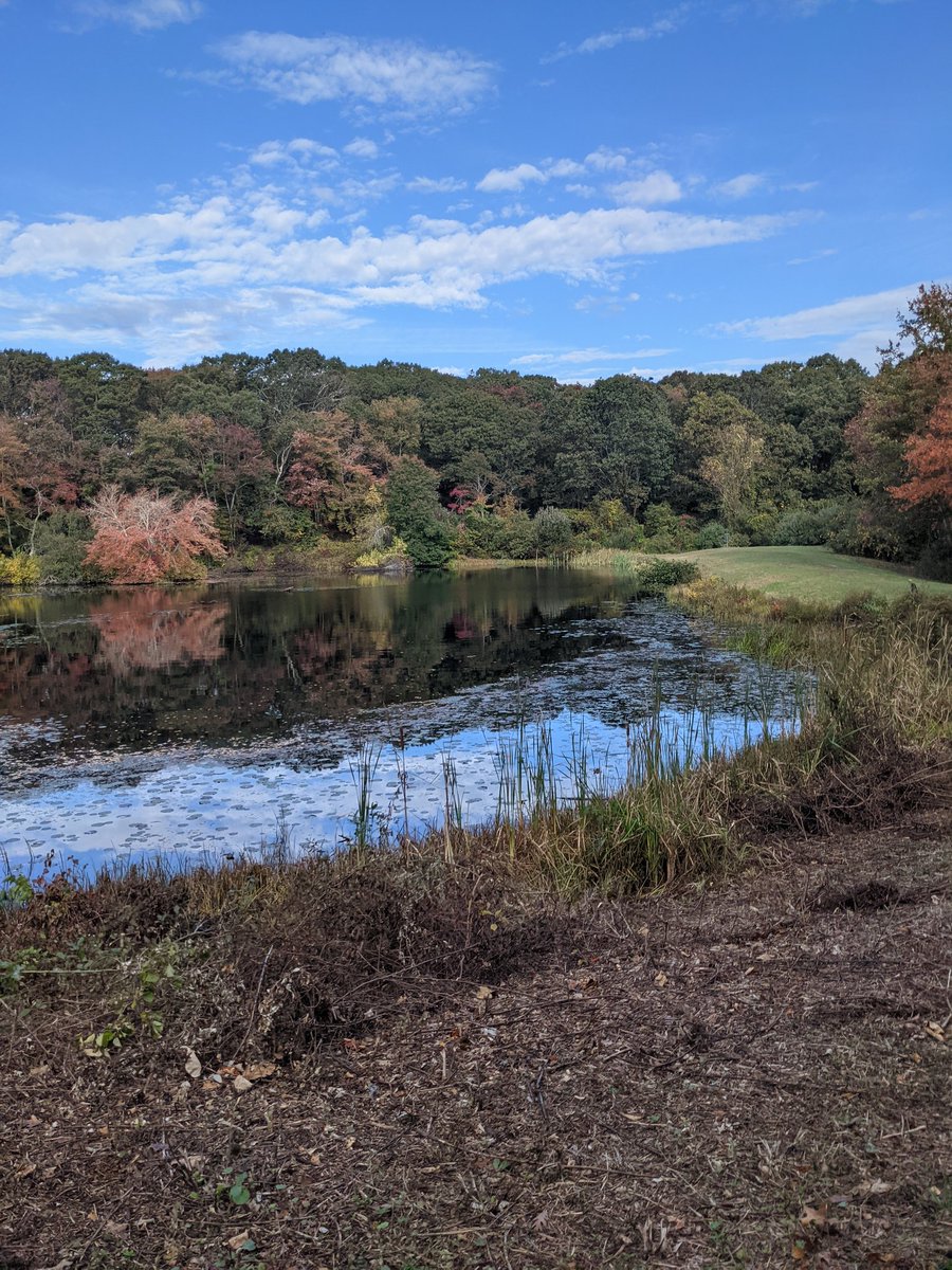 Mr. Pearce on Twitter: "Took the kids outside to talk about the Great ...