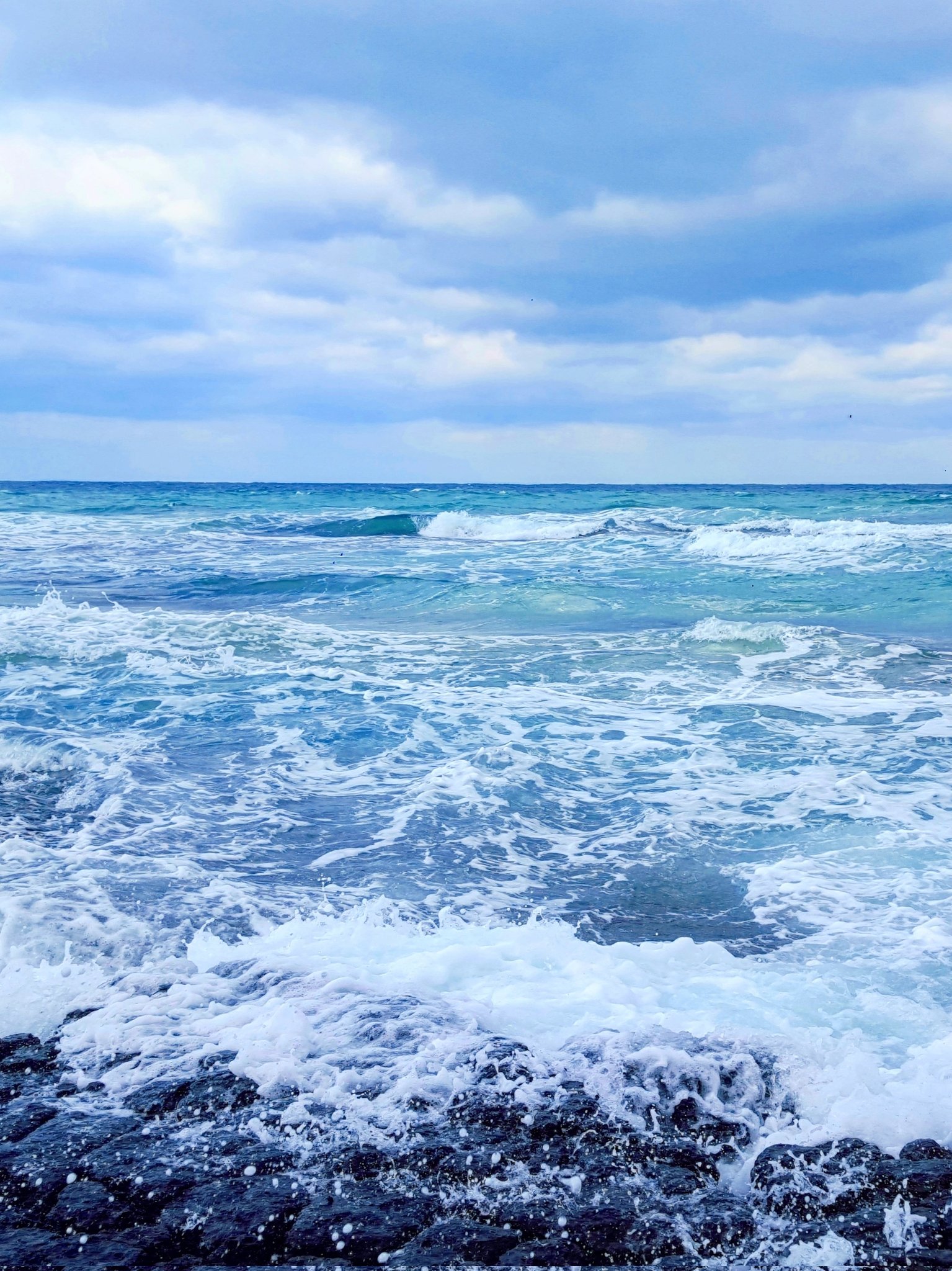 ro (@_roro_b) / Twitter