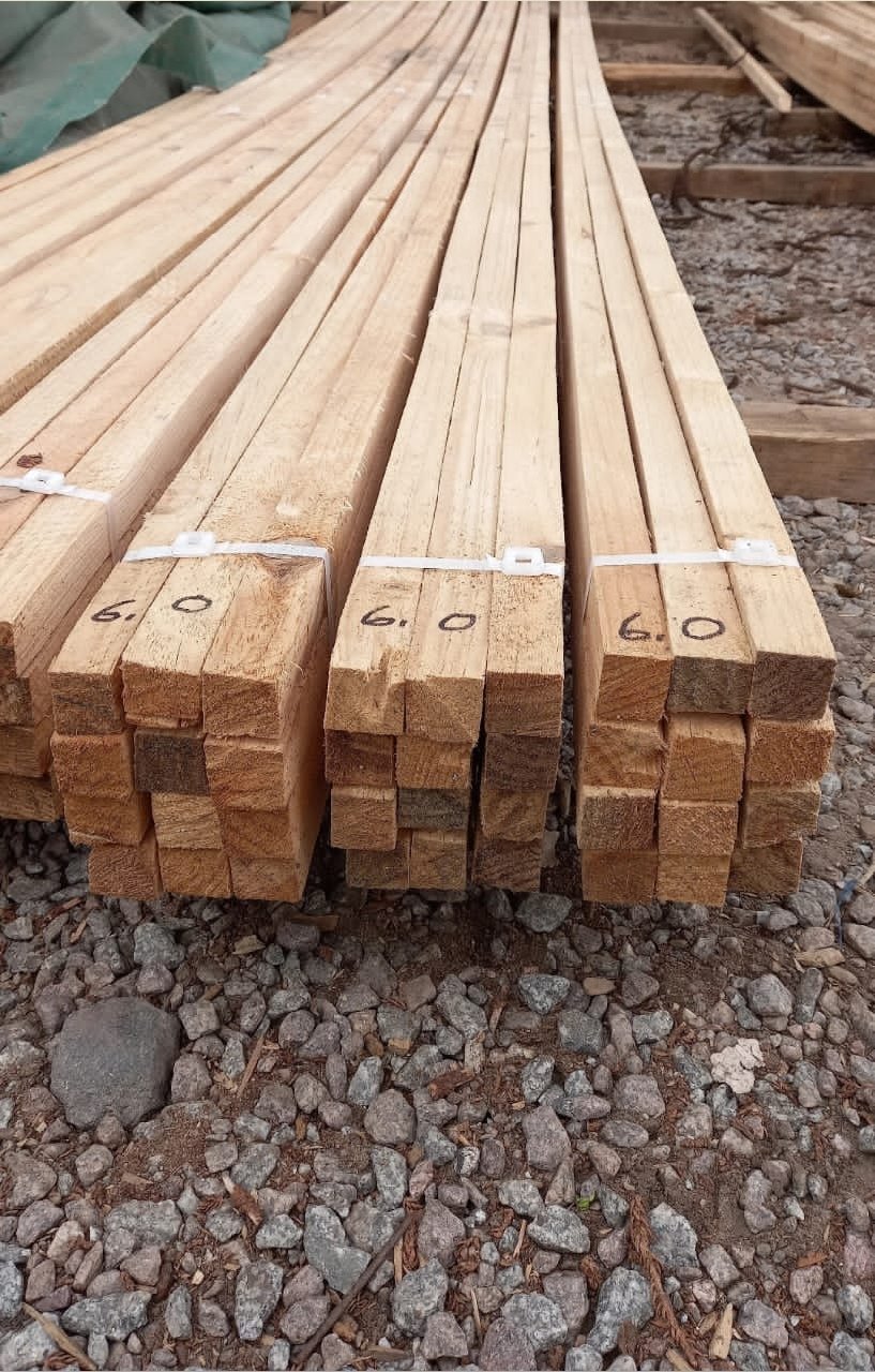 6m Long Treated Timber | informacionpublica.svet.gob.gt