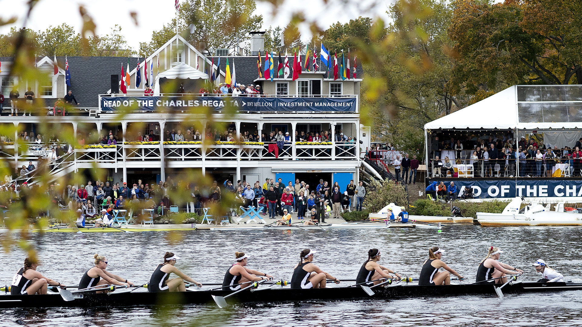 Harvard Regatta