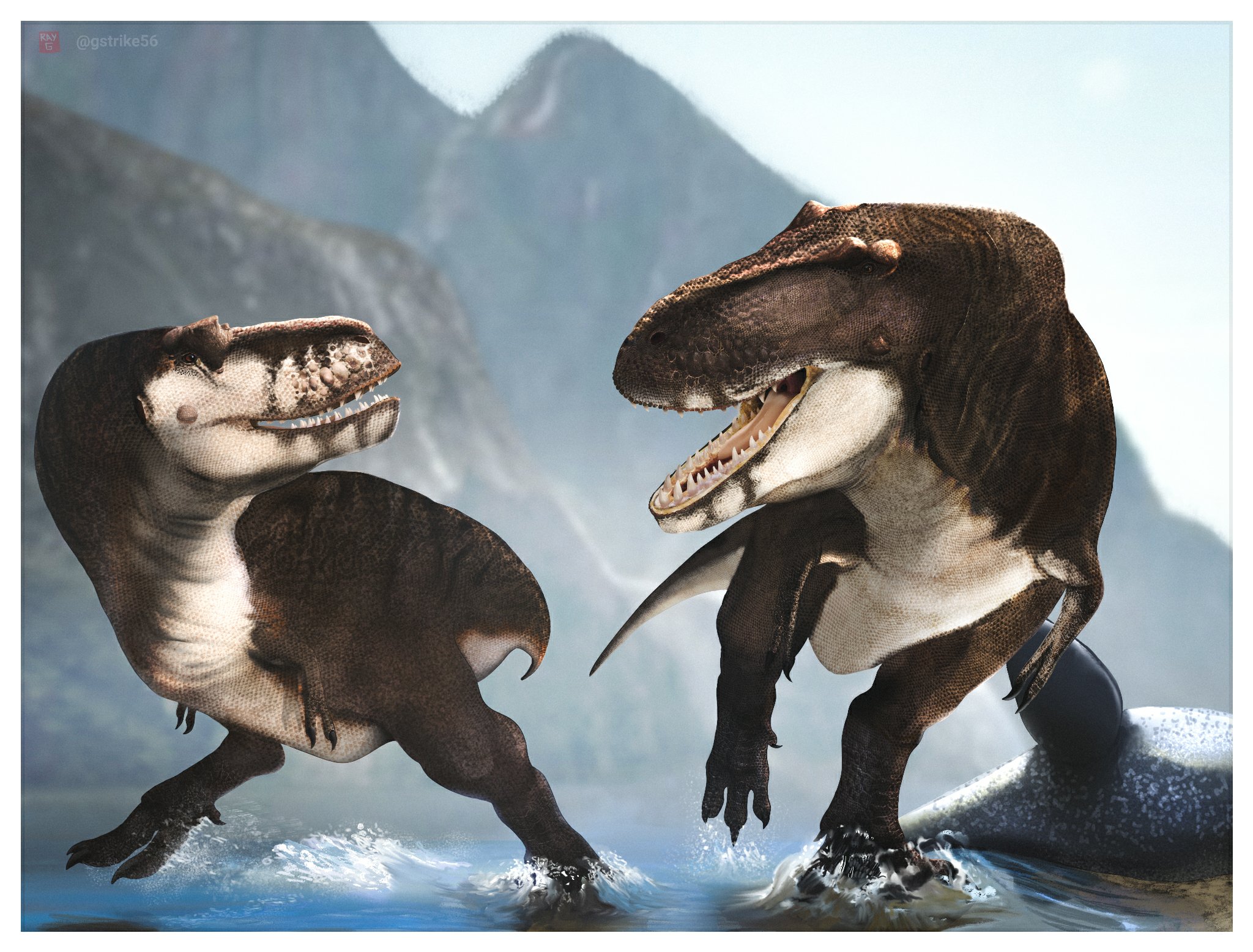 Gorgosaurus Vs Tyrannosaurus