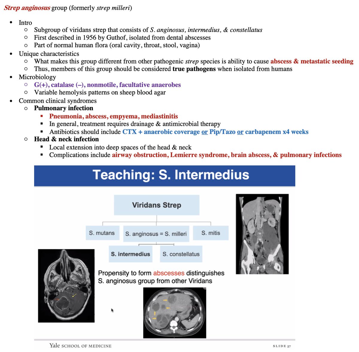 Some pearls from @YaleIM_Chiefs's riveting strep intermedius case! 🧵 ...