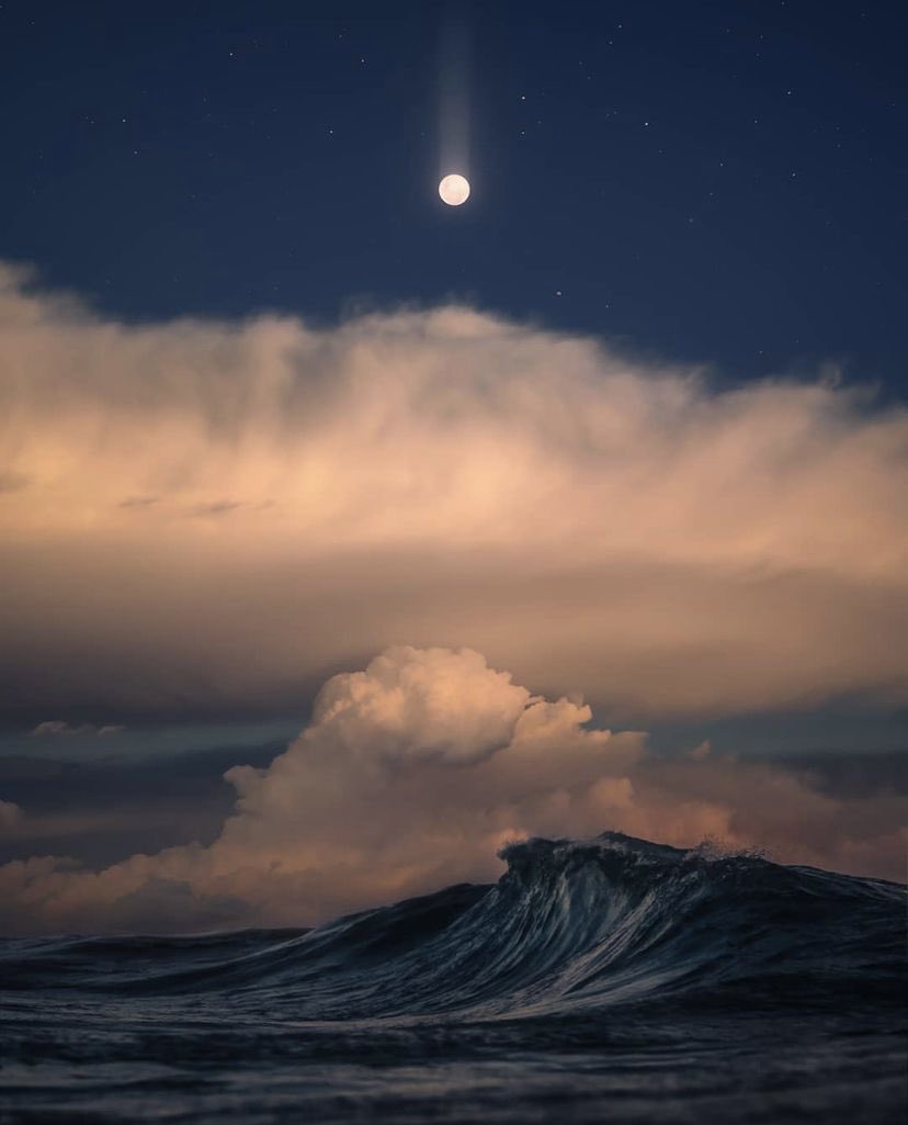 Ece (@Ecekurt_w) | Twitter