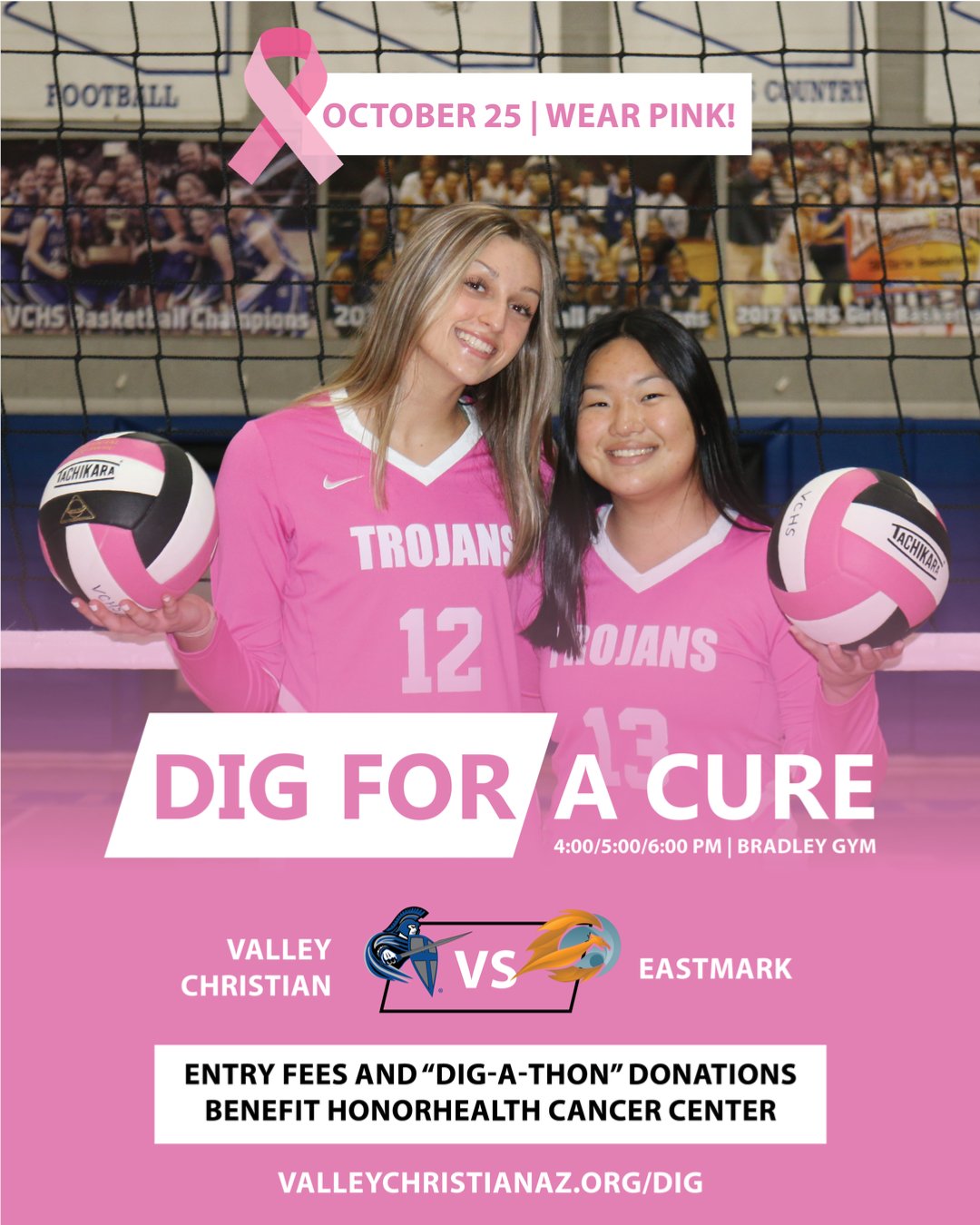Dig For A Cure Volleyball