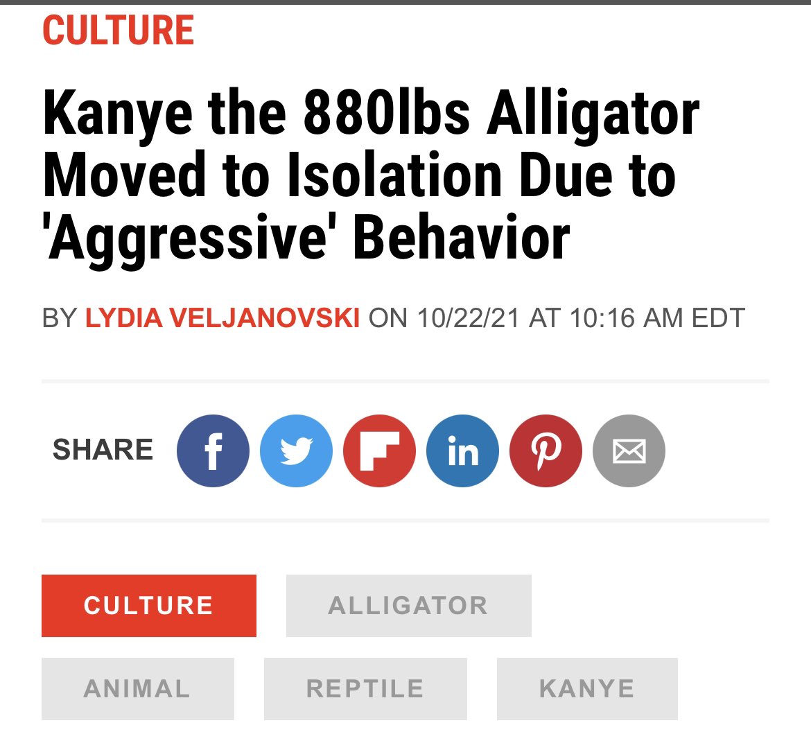 ORAKLE PUHAN (@WhyOrakle) | Twitter