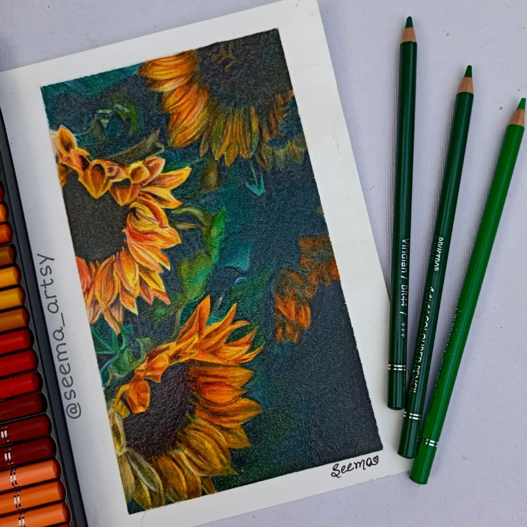 Sunflower Colored Pencil Sketch