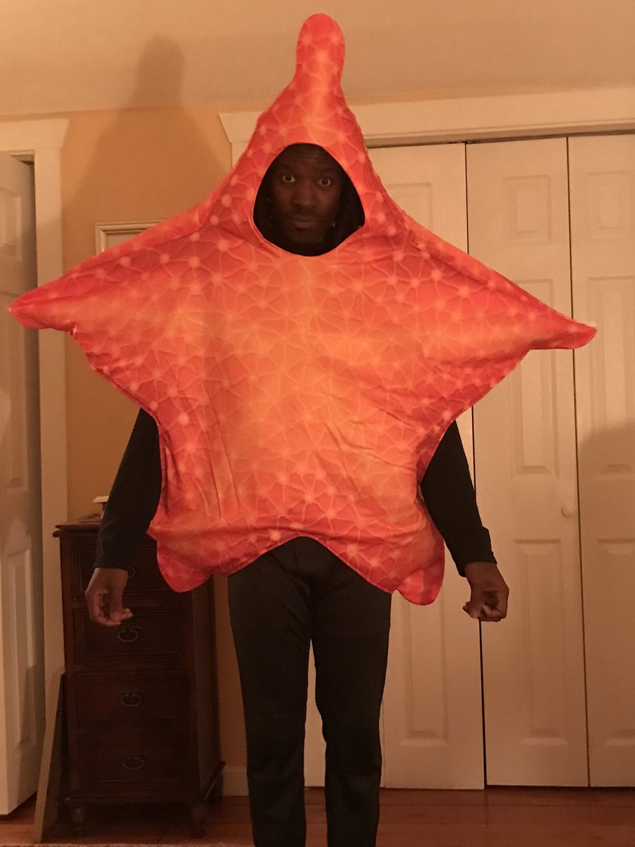 Diy Starfish Costume