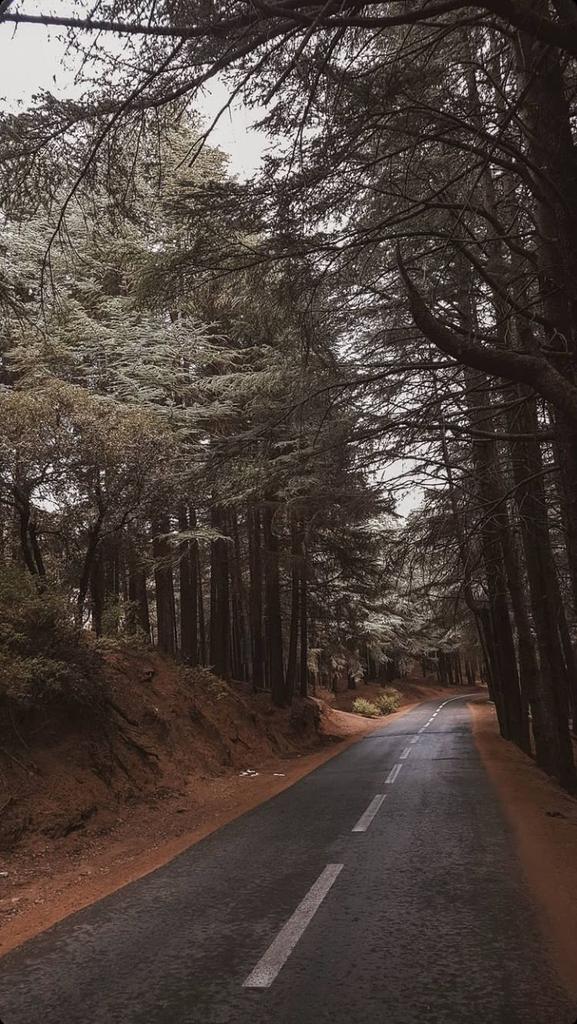 Katr enada Cherair on Twitter: "Celui qui passe a côté de la plus belle histoire de sa vie n ...