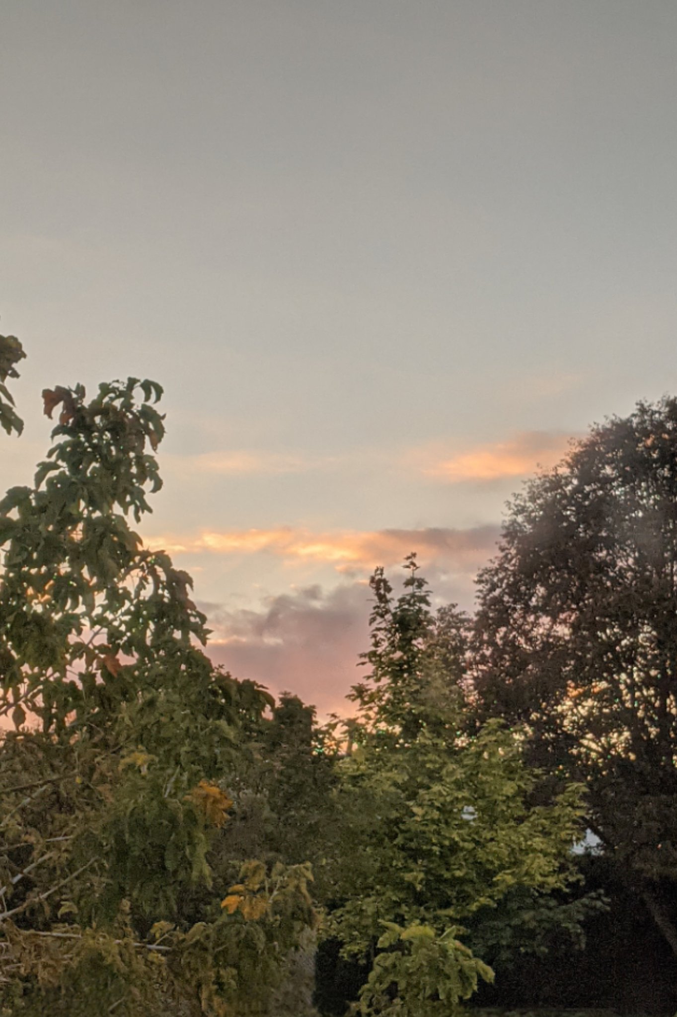 Morning Sky Wallpaper