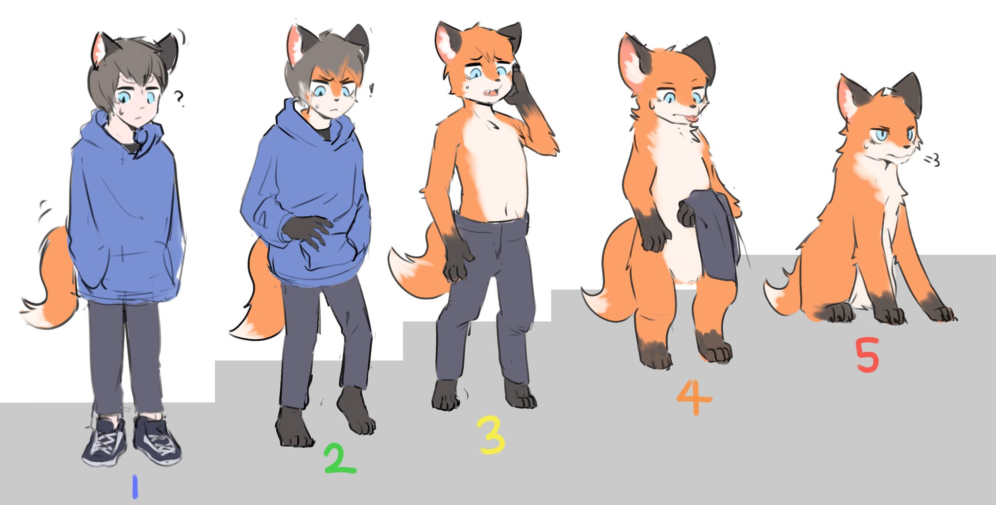 Furry Not Furry