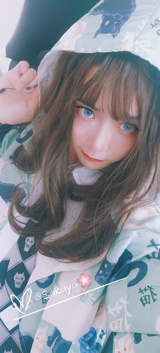 谁还不是个小可爱🌸 Sakuya @sakuya71115817