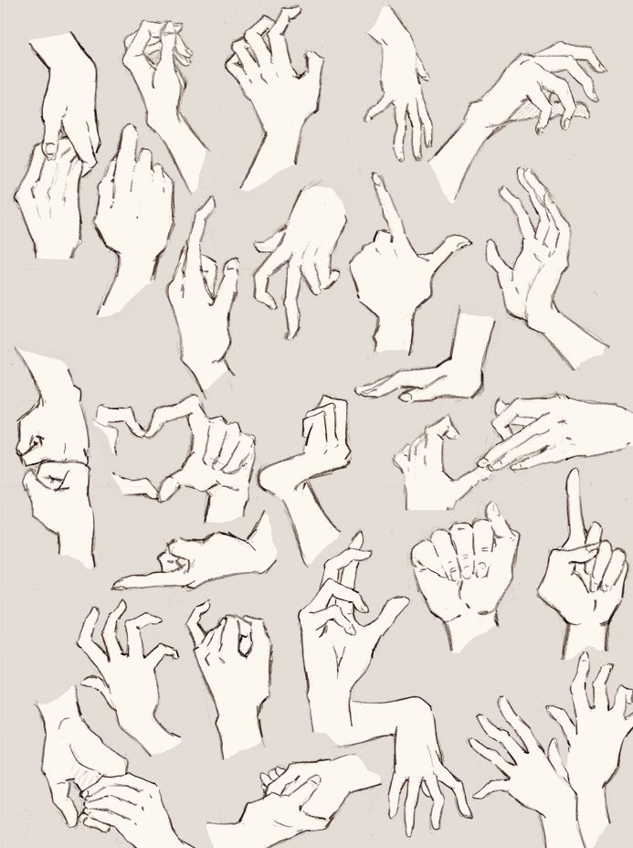 Left Hand Reference Drawing