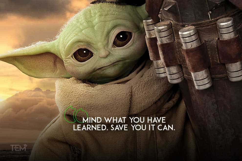 Funniest Yoda Quotes The 30 Best & Most Popular Yoda Quotes Four