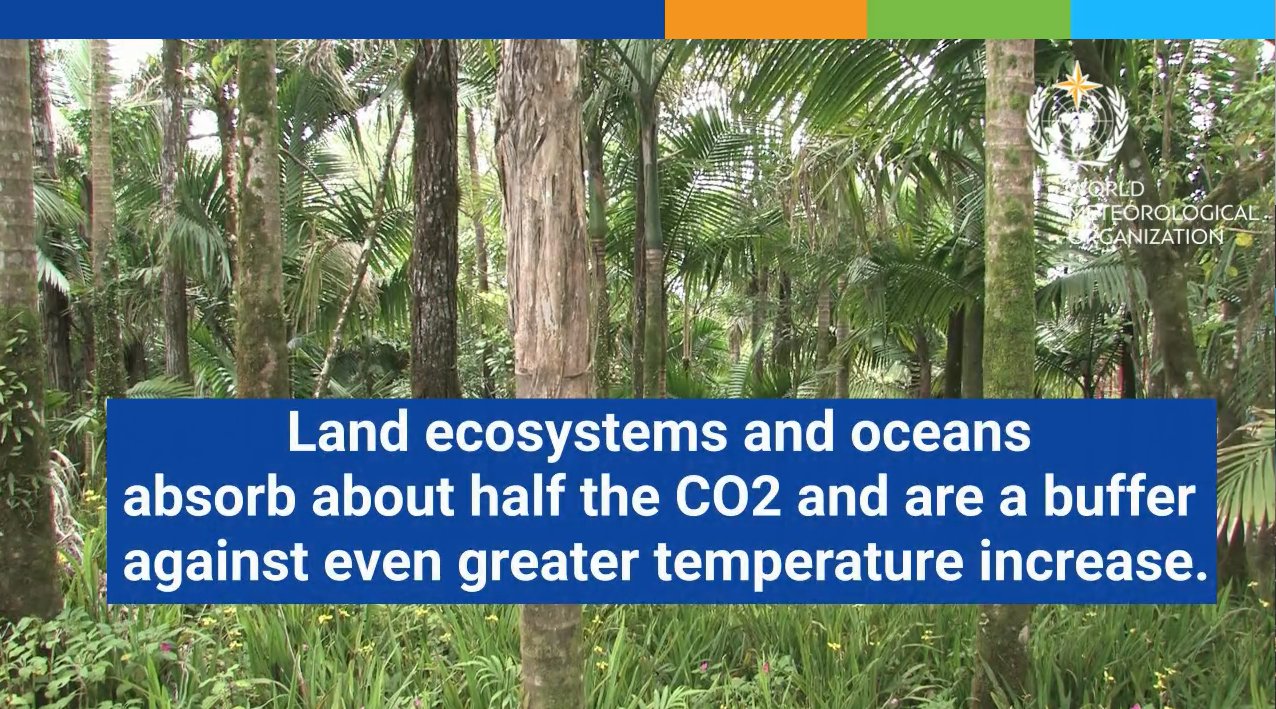 Land Ecosystems
