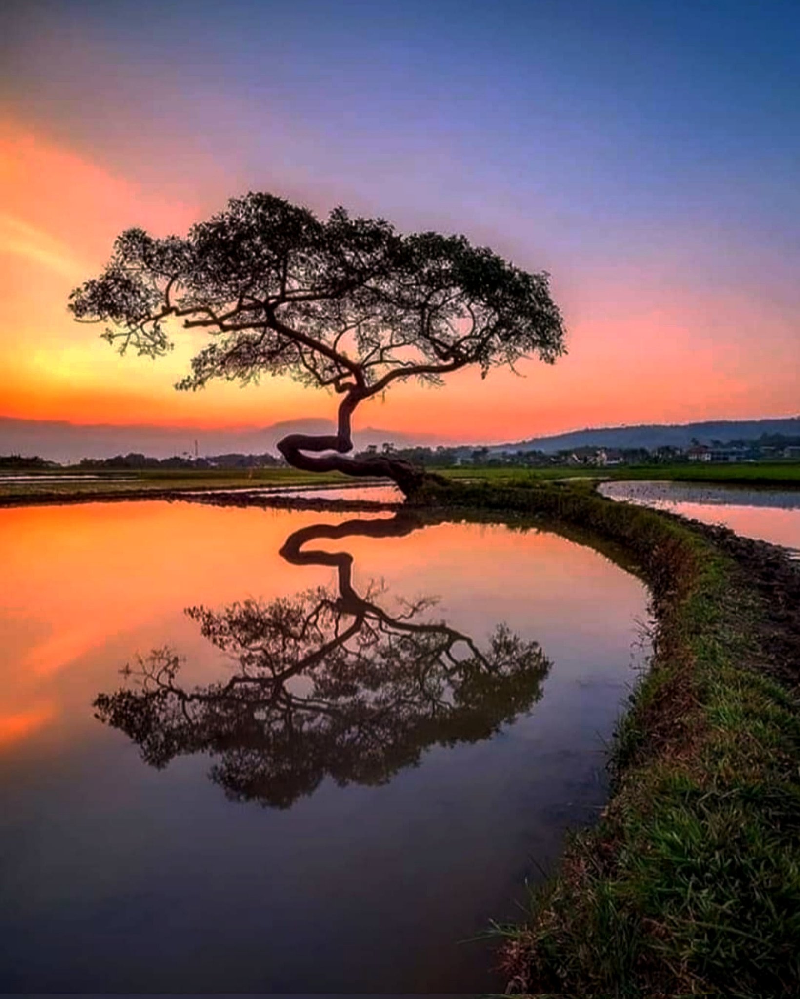 Pretty Nature Profile Pictures