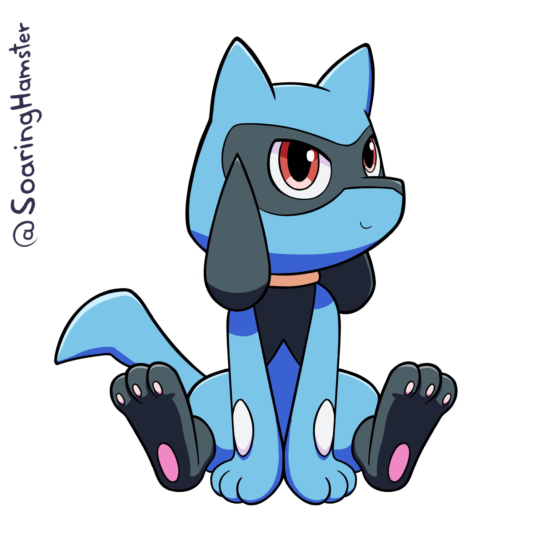 Riolu Drawing