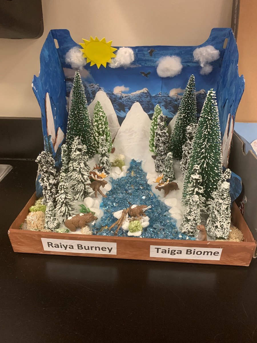 Taiga Ecosystem Shoebox