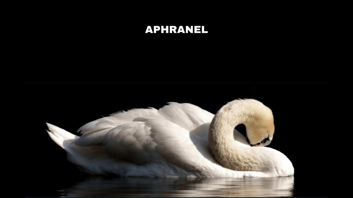 Aphranel (@aphranel_my) | Twitter