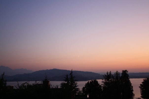 Hannah Roach (@hannahroachart) | Twitter