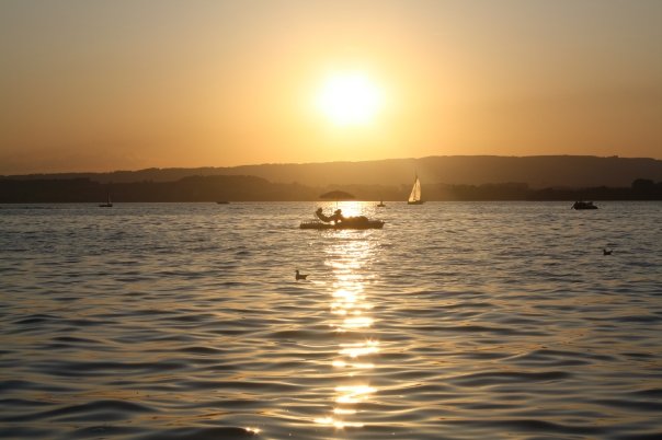 Hannah Roach (@hannahroachart) | Twitter