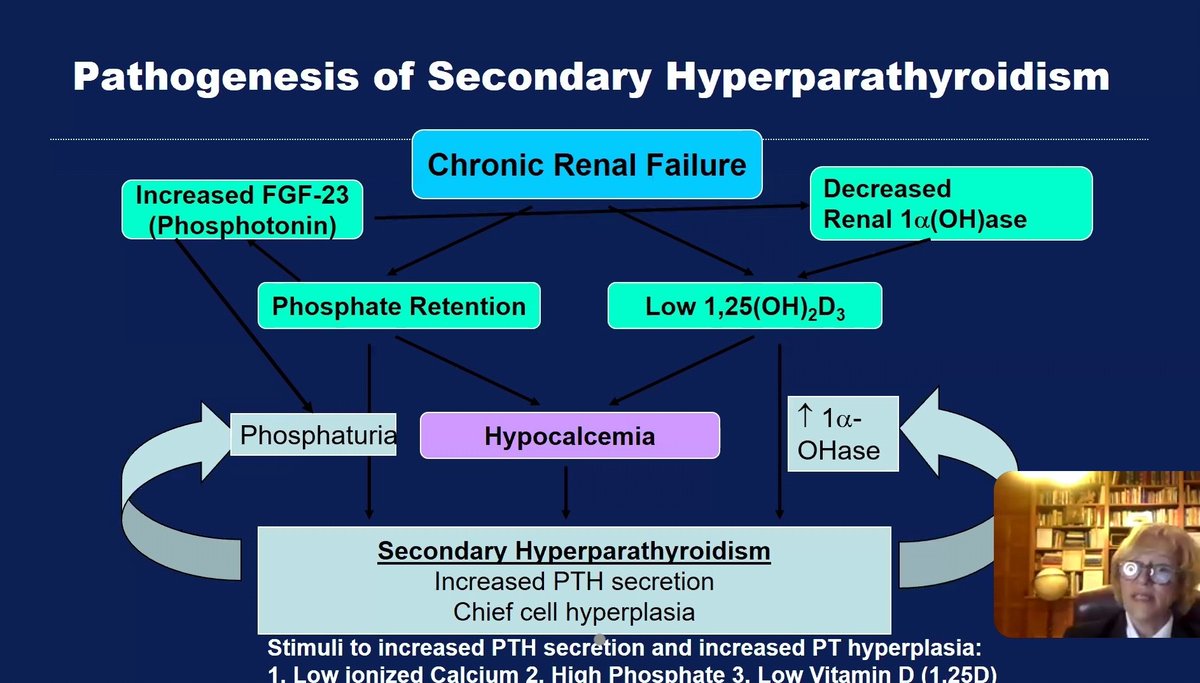 1/Collaboration between International society of endocrinology with ISN ...